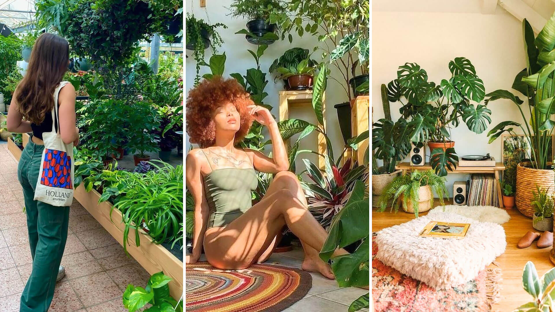 What is the Plant Mom Aesthetic | Aesthetics Wiki What is the Plant Mom Aesthetic | Aesthetics Wiki